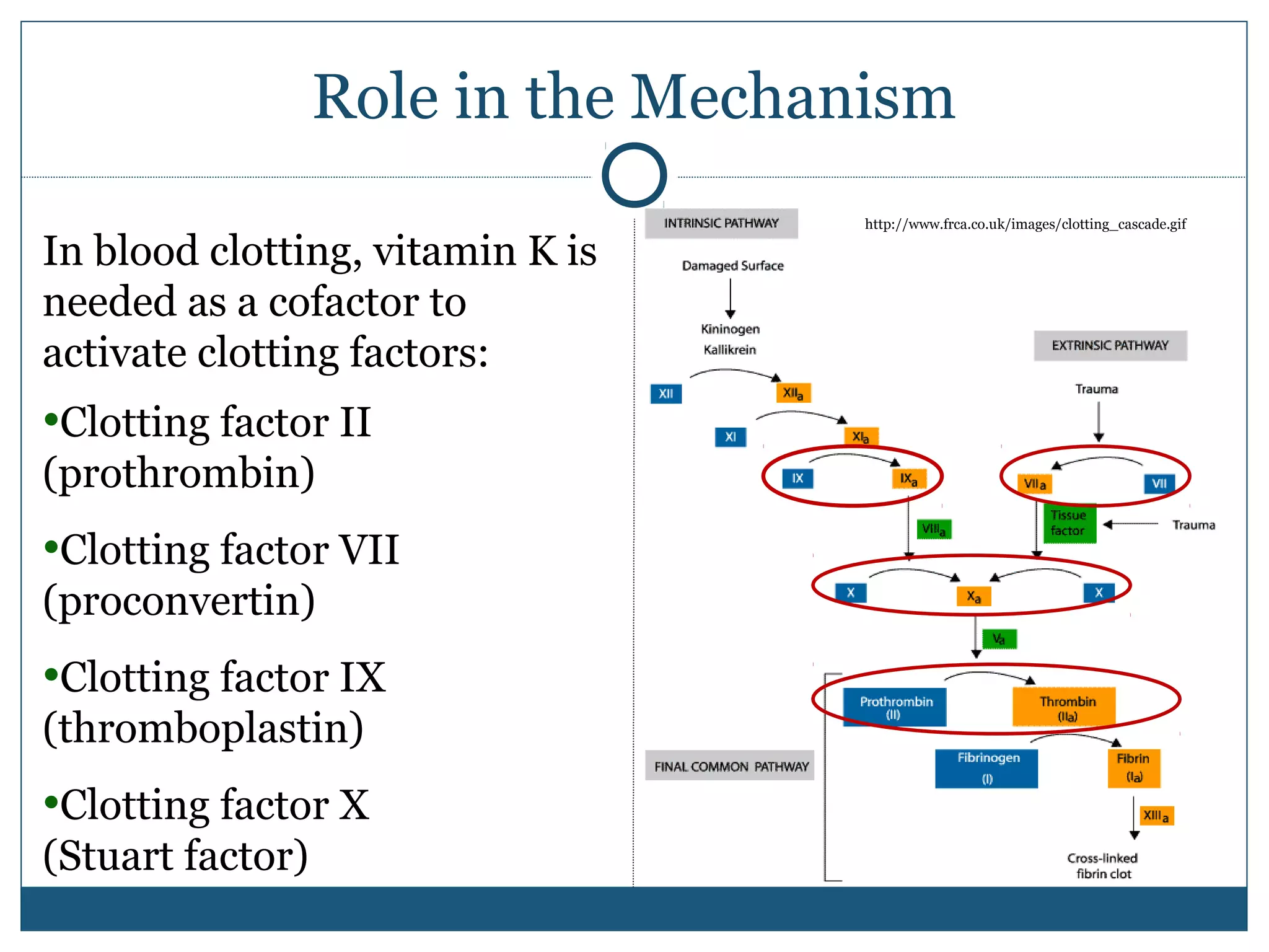 VITAMIN K, [MEDICINAL CHEMISTRY] BY P.RAVISANKAR,STRUCTURES OF VITAMIN ...
