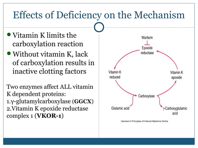 VITAMIN K, [MEDICINAL CHEMISTRY] BY P.RAVISANKAR,STRUCTURES OF VITAMIN ...
