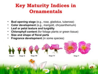 Non Destructive Techniques Ndts To Assess Maturity Indices In