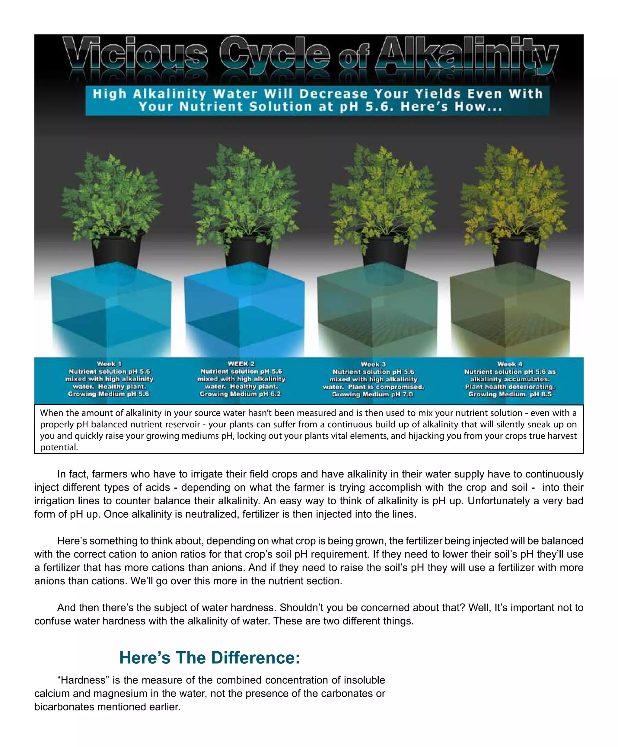 pH Perfect Technology | PDF