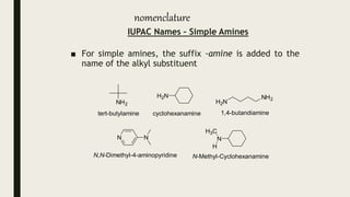 PHMD102-Amines_150142.pptx