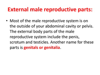 PHMD105-Male-reproductive-system_150838.pptx