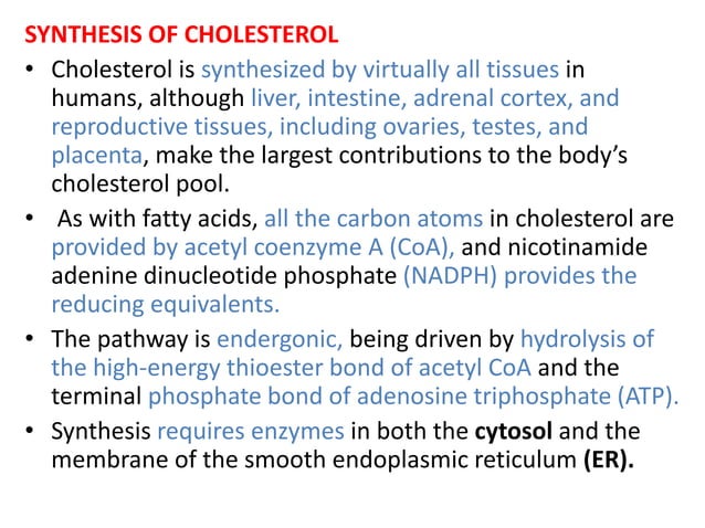 PHMD113-Biosynthesis-of-cholesterol_156776.pptx