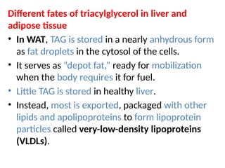 PHMD113-Biosynthesis-of-Fatty-acid-and-TAG_156775.pptx