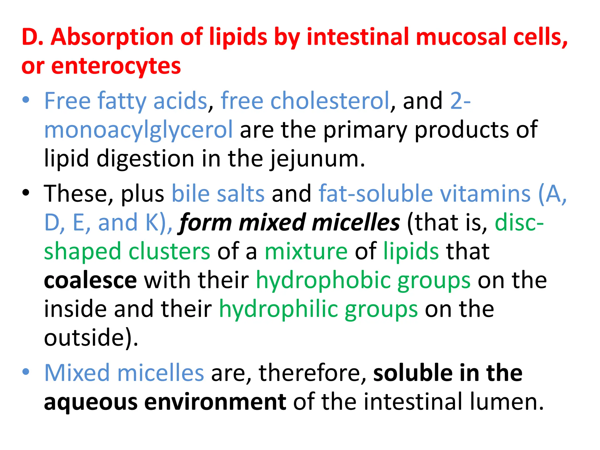 PHMD113-Digestion-and-absorption-of-lipids_156571.pptx