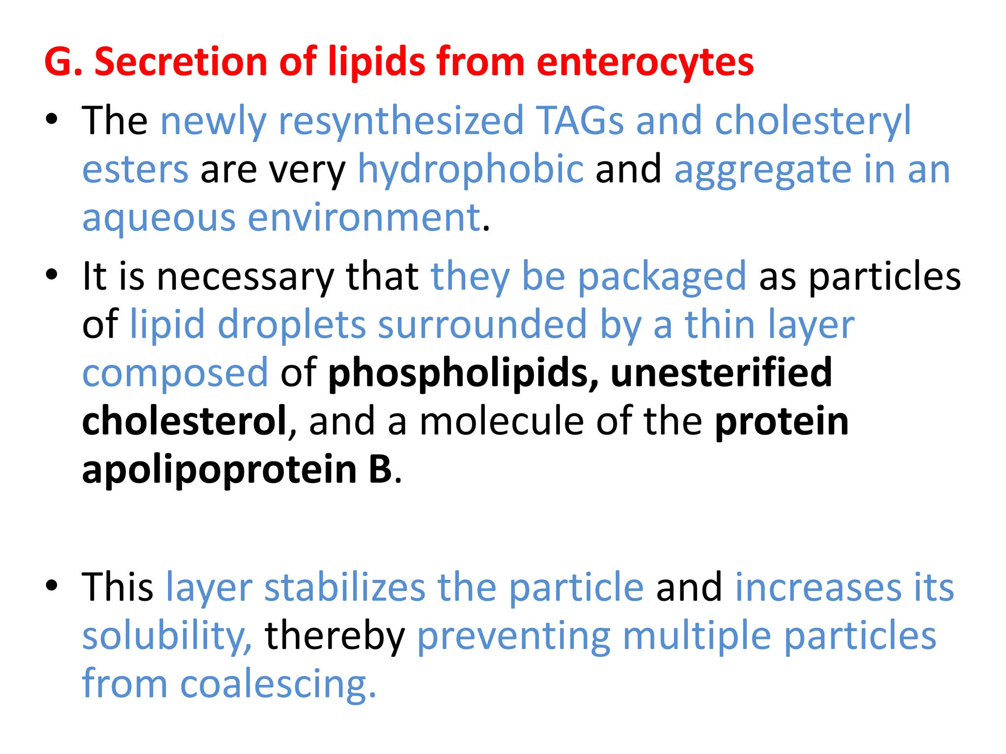 PHMD113-Digestion-and-absorption-of-lipids_156571.pptx