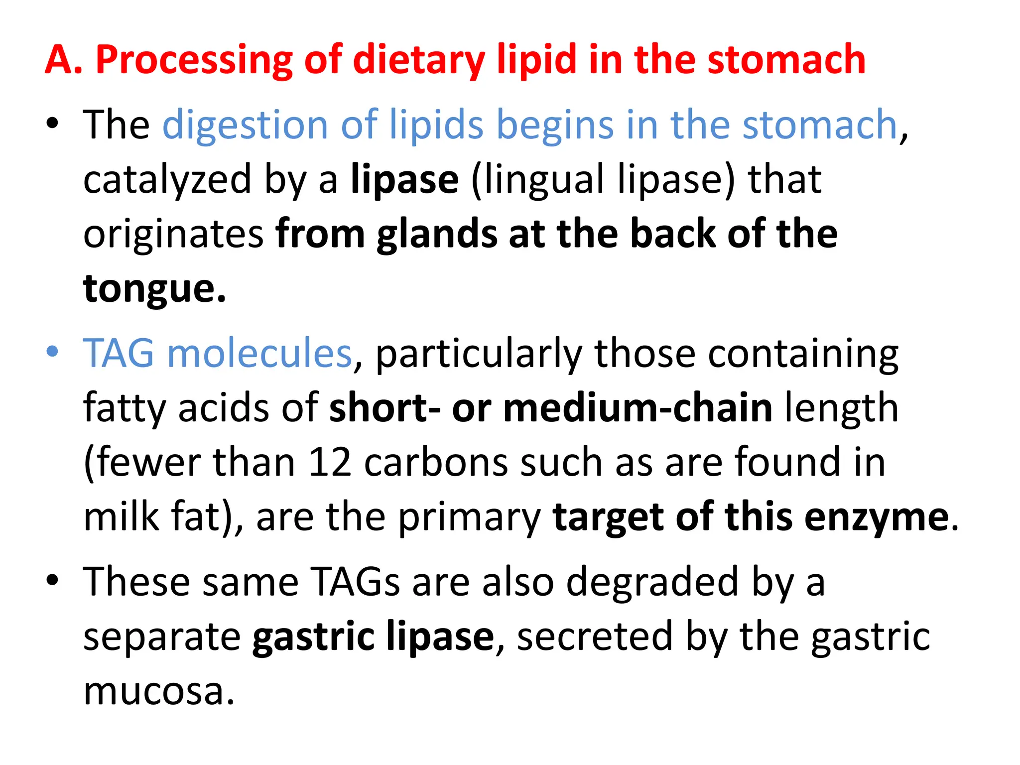 PHMD113-Digestion-and-absorption-of-lipids_156571.pptx