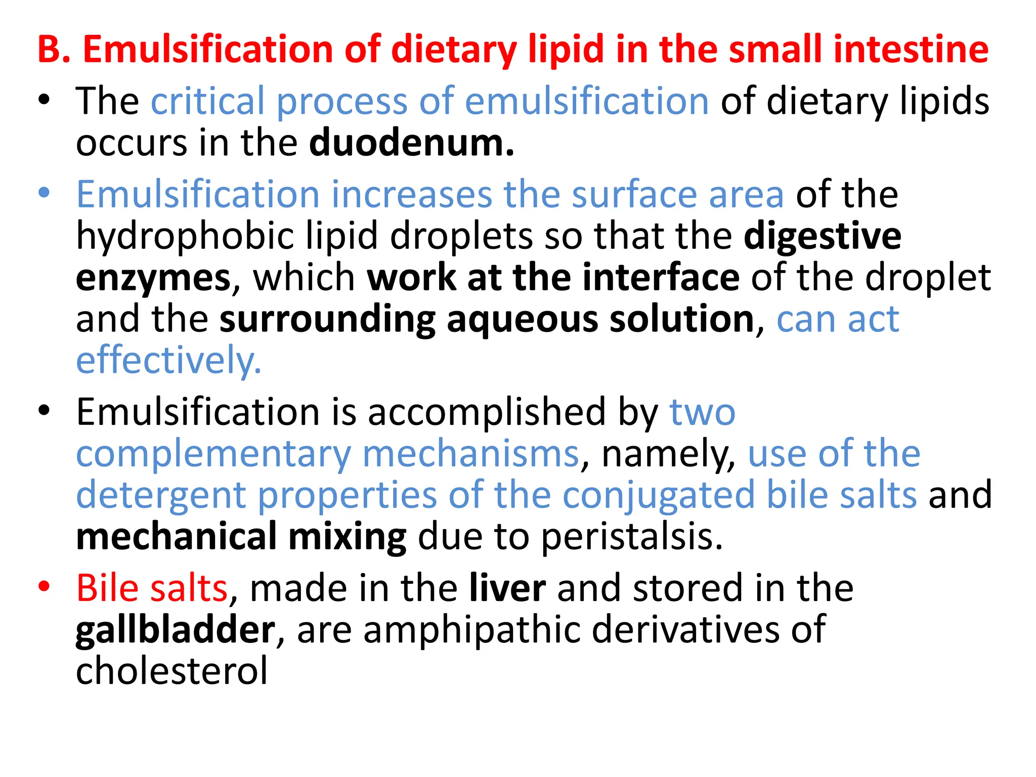 PHMD113-Digestion-and-absorption-of-lipids_156571.pptx