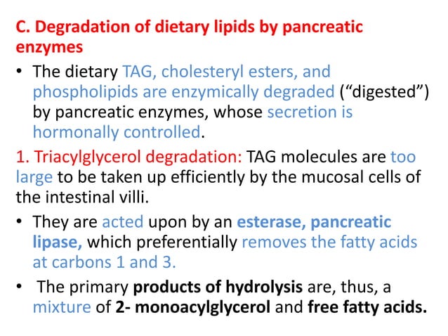 PHMD113-Digestion-and-absorption-of-lipids_156571.pptx