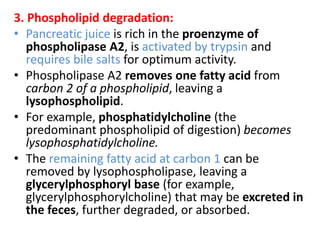 PHMD113-Digestion-and-absorption-of-lipids_156571.pptx