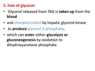PHMD113-Digestion-and-absorption-of-lipids_156571.pptx