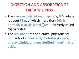 PHMD113-Digestion-and-absorption-of-lipids_156571.pptx