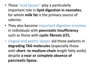 PHMD113-Digestion-and-absorption-of-lipids_156571.pptx