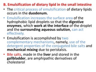 PHMD113-Digestion-and-absorption-of-lipids_156571.pptx