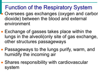 PHMD114-Respiratory-System_138249.ppt