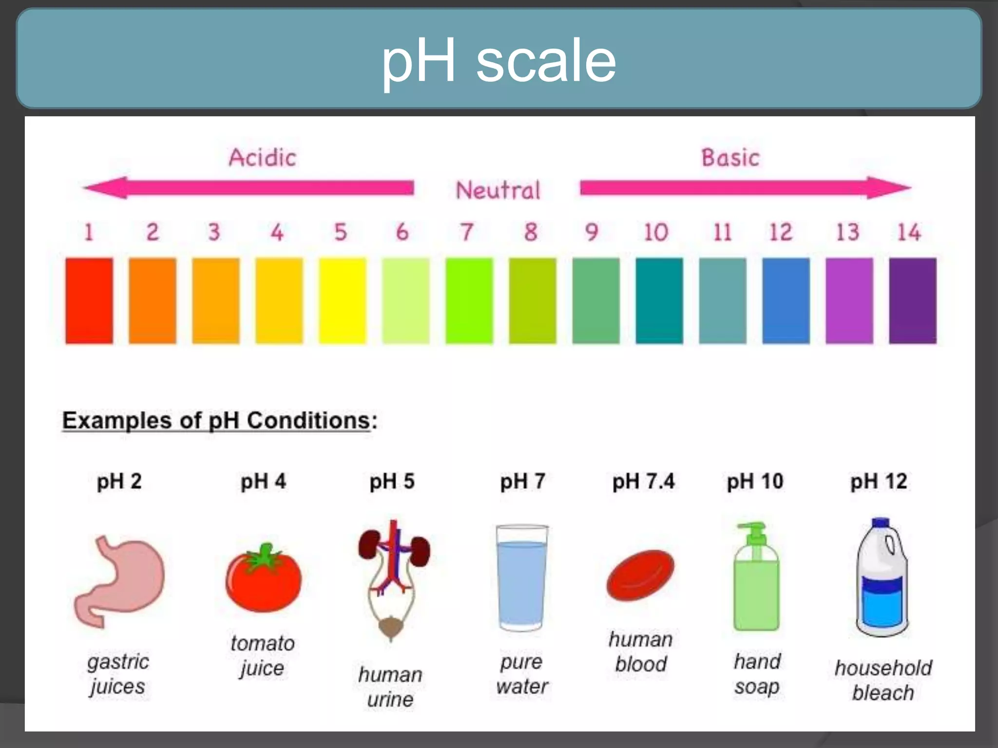 Ph meter.pptx