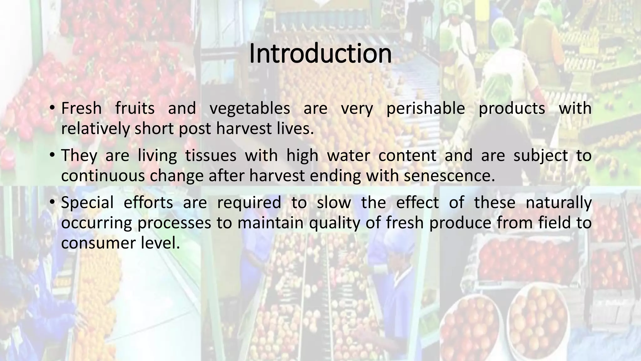 Post harvest engineering of fruits and vegetables | PDF
