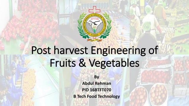 Post harvest engineering of fruits and vegetables | PDF
