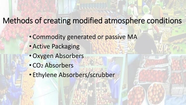 Post harvest engineering of fruits and vegetables | PDF