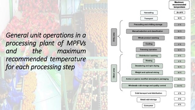 Post harvest engineering of fruits and vegetables | PDF