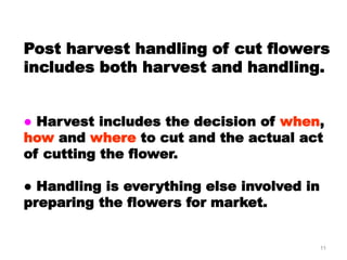 Postharvest Management of Cut Flower by Dr. L. Jeebit Singh | PPTX