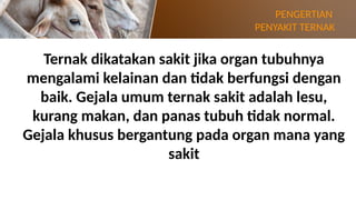 penyakit menular strategis PHMS pada ternak.pptx