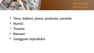 penyakit menular strategis PHMS pada ternak.pptx