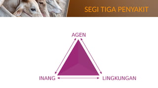 penyakit menular strategis PHMS pada ternak.pptx