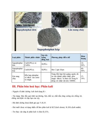 PHÂN BÓN HOÁ HỌC.docx