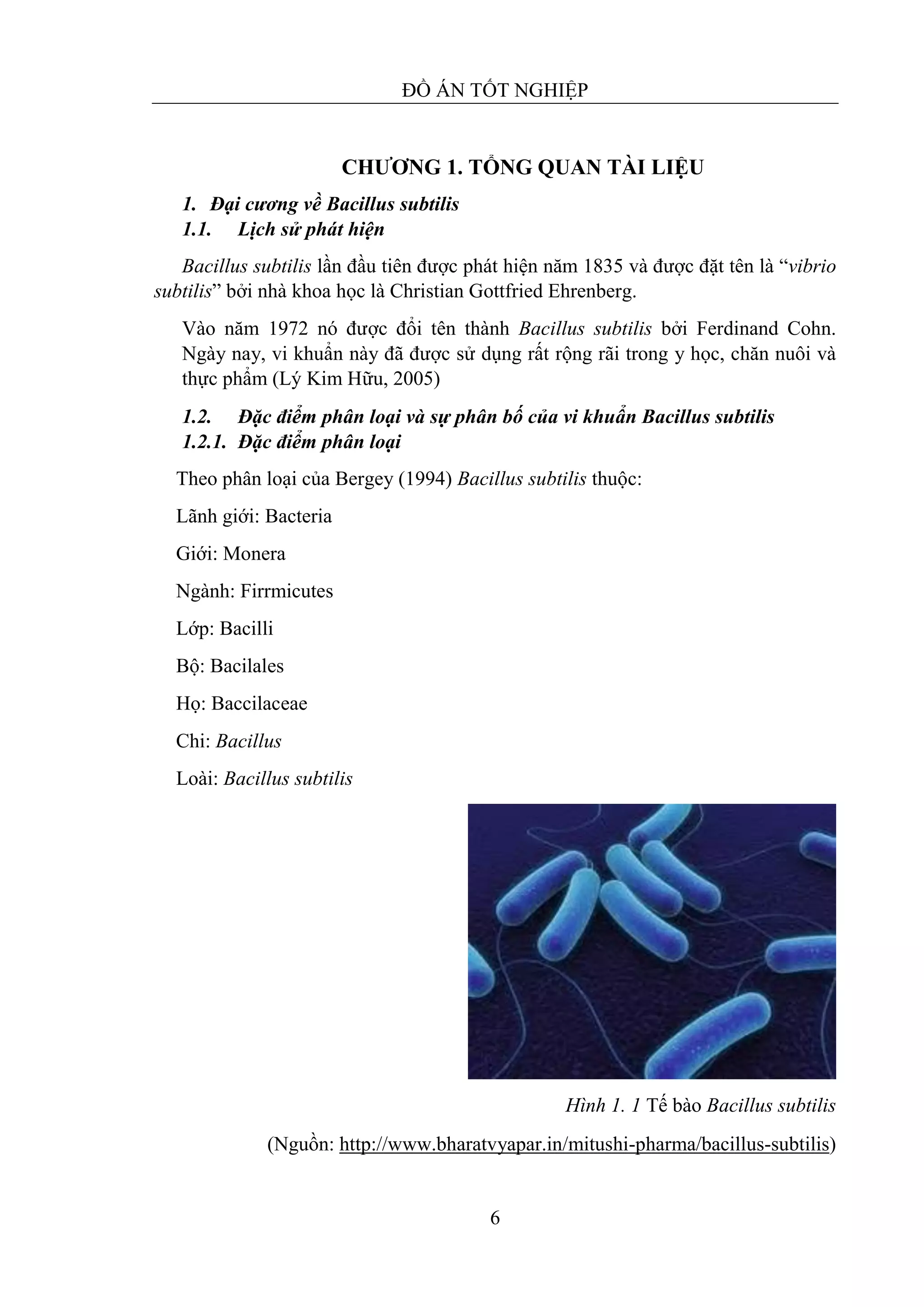 Phân lập bacillus subtilis từ ruột cá | PDF