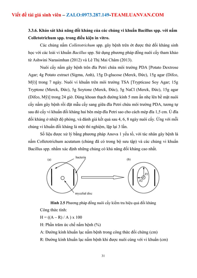 Phân lập và tuyển chọn các chủng bacillus spp.Có khả năng đối kháng sinh học với nấm ...