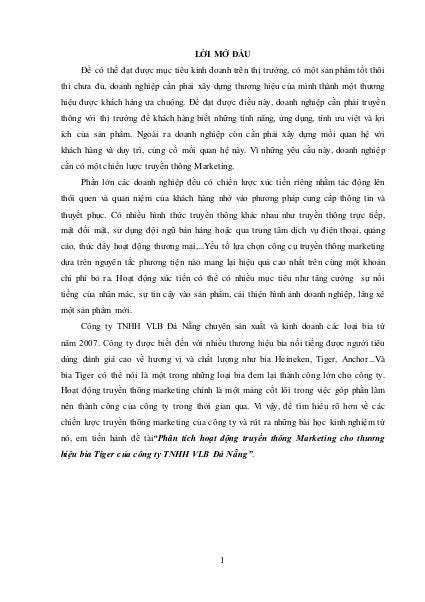 Phân Tích Chiến Dịch Truyền Thông Marketing Thương Hiệu Bia Tiger | DOCX