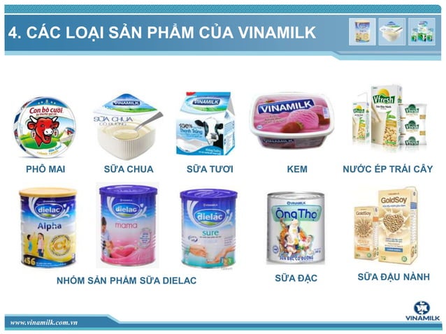 Phân tích cơ cấu của vinamilk | PDF
