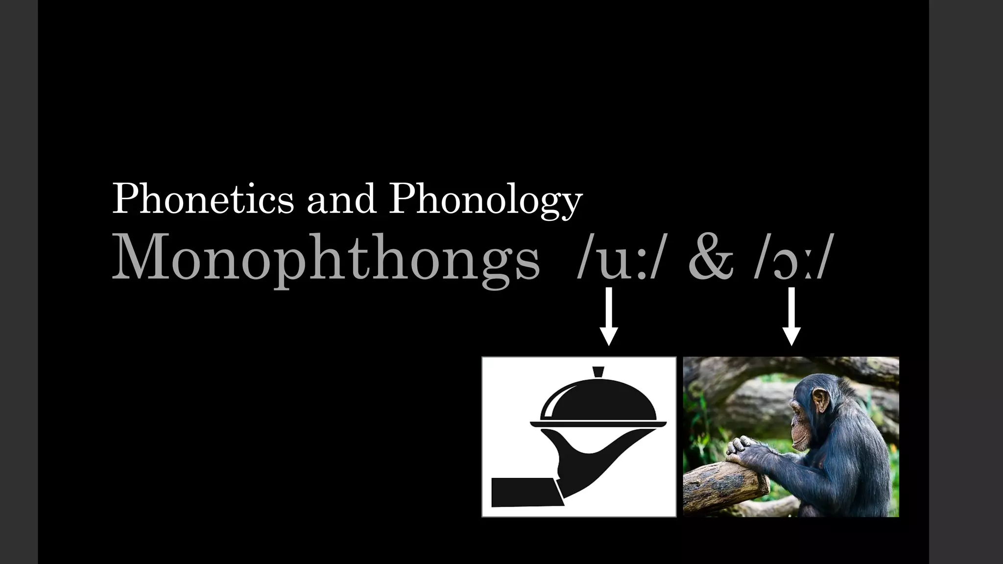 Monophthongs /u:/ and /ɔ:/.pdf