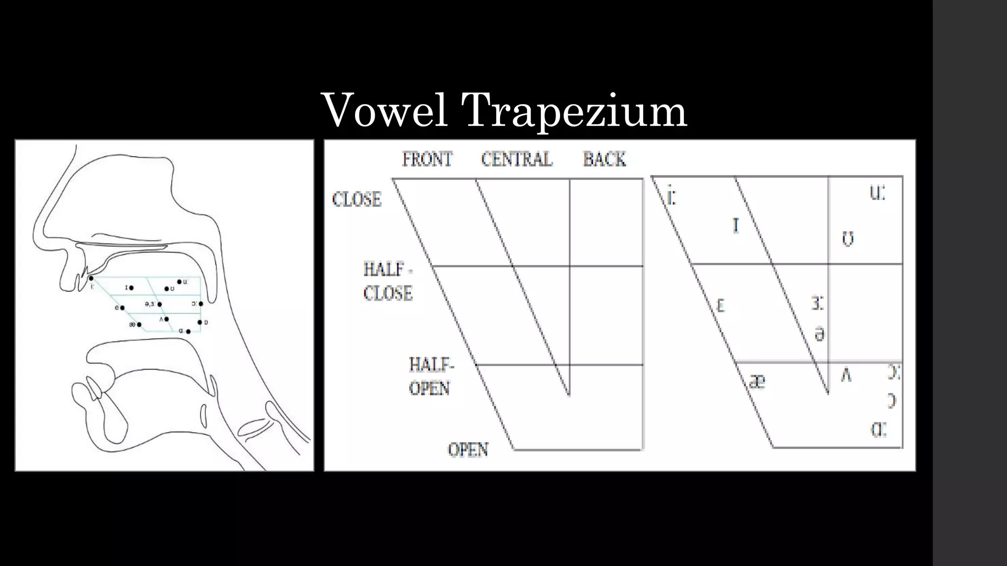 Monophthongs /u:/ and /ɔ:/.pdf