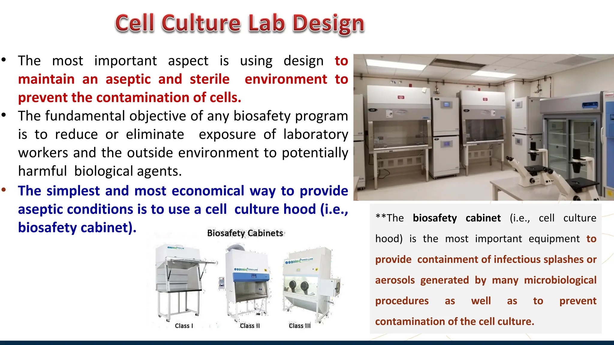 PHO403 Lab (1) Basics of Cell Culture.pdf
