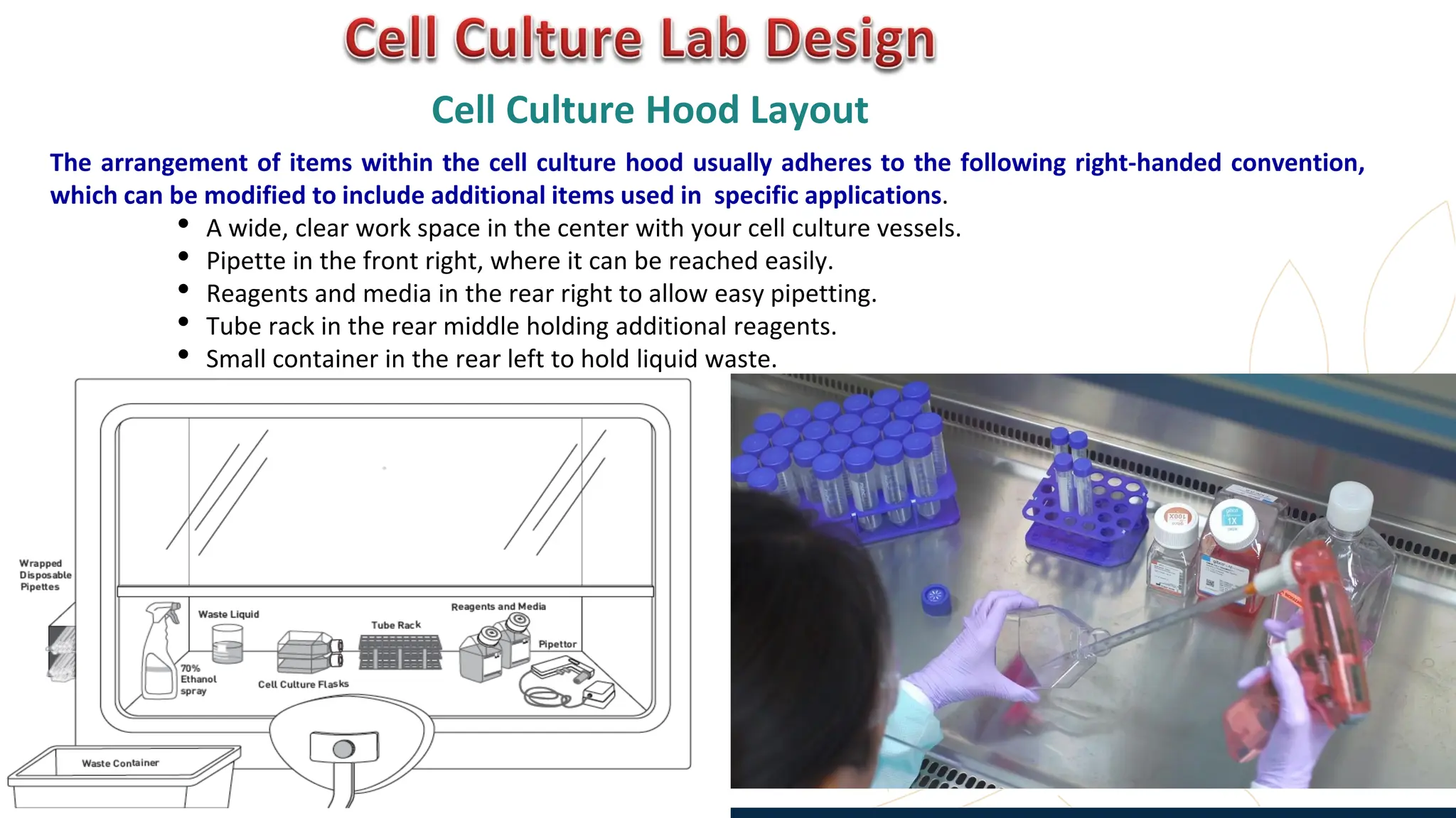 PHO403 Lab (1) Basics of Cell Culture.pdf