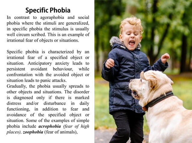 Phobia; Definition, types, treatment | PDF | Brain and Nervous System ...