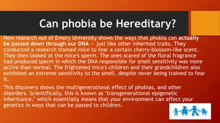 Phobia ( Psychologhy project) | PPTX
