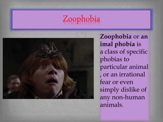 Phobias | PPTX