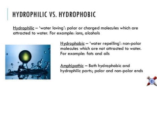 Hydrophobic vs Hydrophilic | PPT