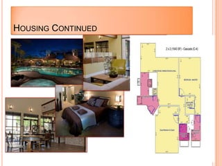 Phoenix!!!! ppt | PPT