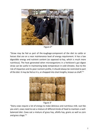 Appropriate Technology: Spring Straw Cutter | PDF
