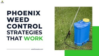 Phoenix Weed Control Strategies That Work | PPTX