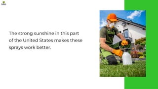 Phoenix Weed Control Strategies That Work | PPTX
