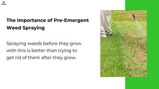 Phoenix Weed Control Strategies That Work | PPTX