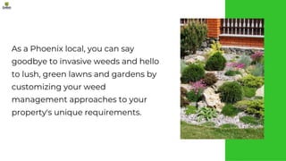 Phoenix Weed Control Strategies That Work | PPTX