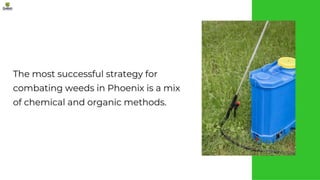 Phoenix Weed Control Strategies That Work | PPTX