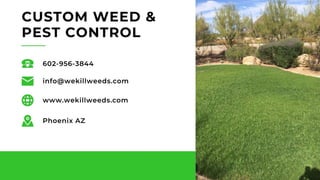 Phoenix Weed Control Strategies That Work | PPTX
