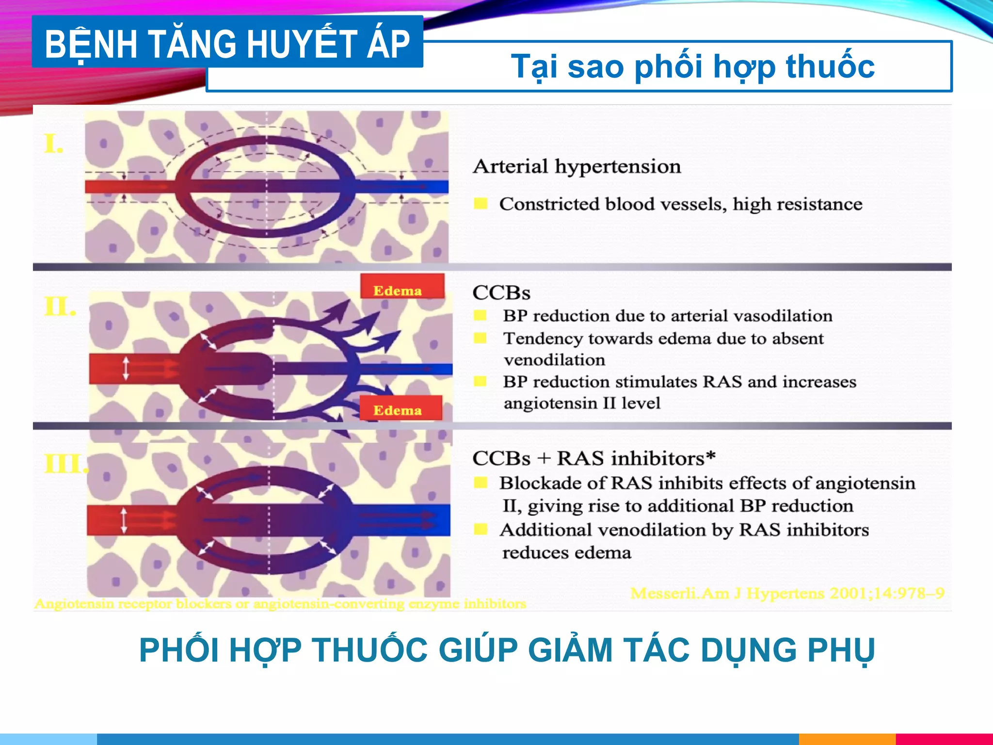 Phối hợp thuốc trong điều trị tăng huyết áp | PDF